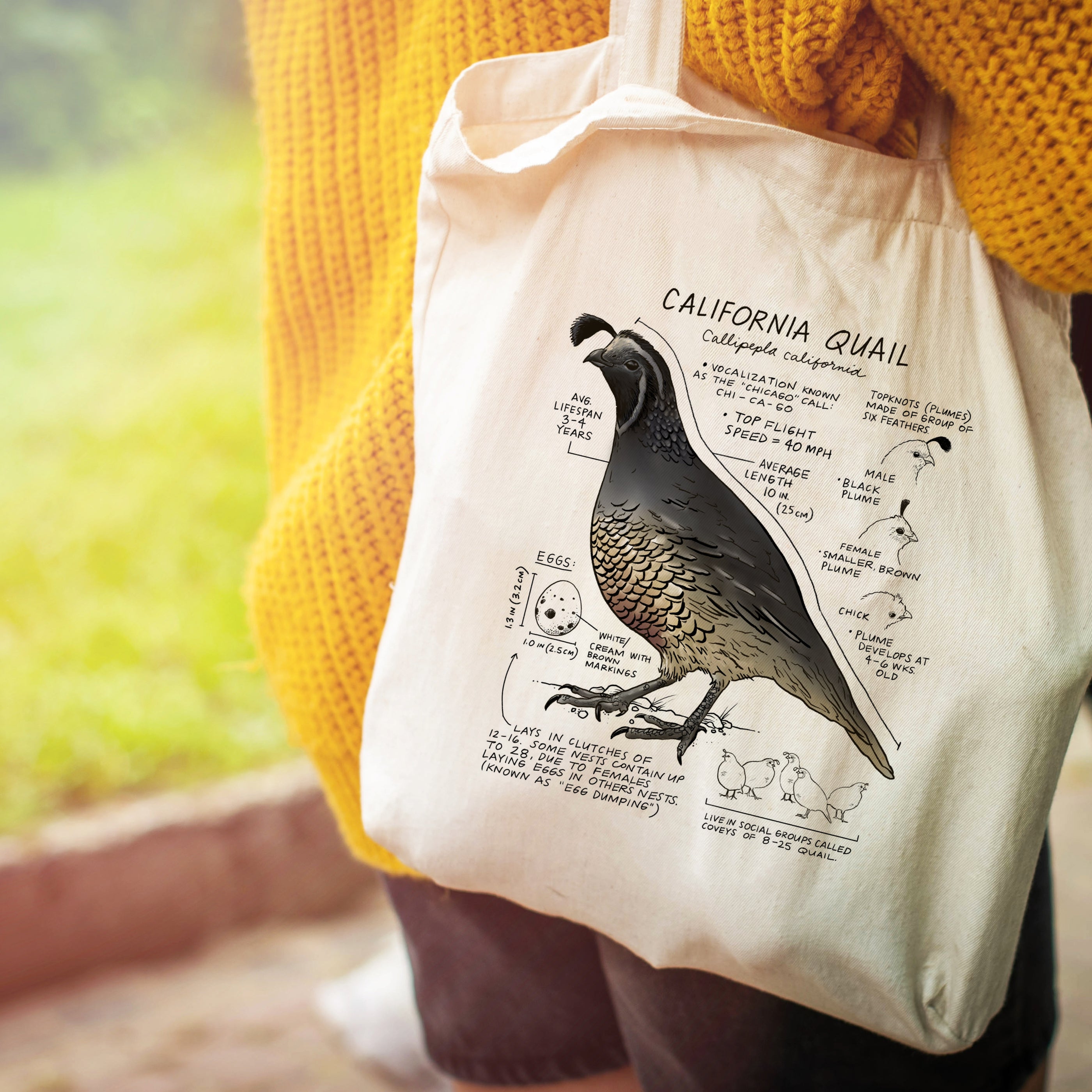 Educational Nature Totes with Illustrated Animals | Naturalist – NATURALIST